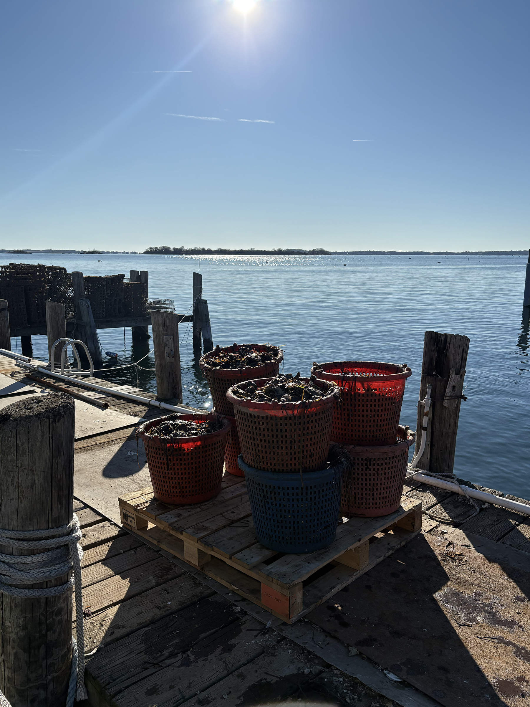 Part 3: Oyster Harvesting Vessels and Tools: A Historical and ...